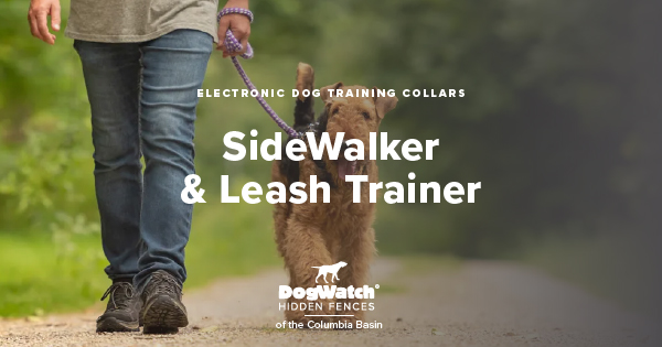 SideWalker® SW-5 Leash Trainer - Dog Watch